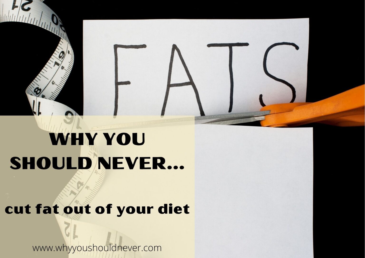 Why You Should Never Cut Fat Out Of Your Diet – Why You Should Never…