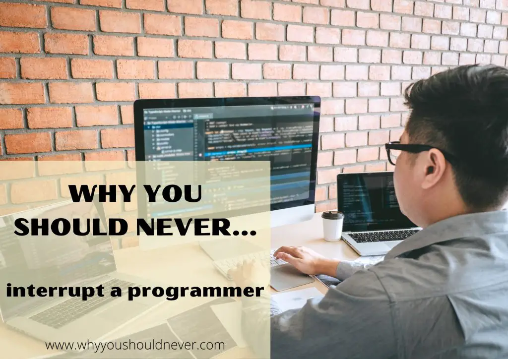 Why You Should Never Interrupt A Programmer – Why You Should Never…