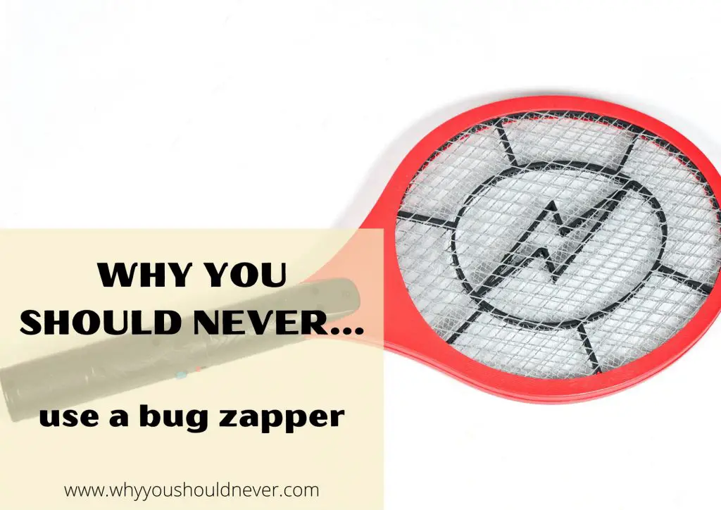Why You Should Never Use A Bug Zapper – Why You Should Never…
